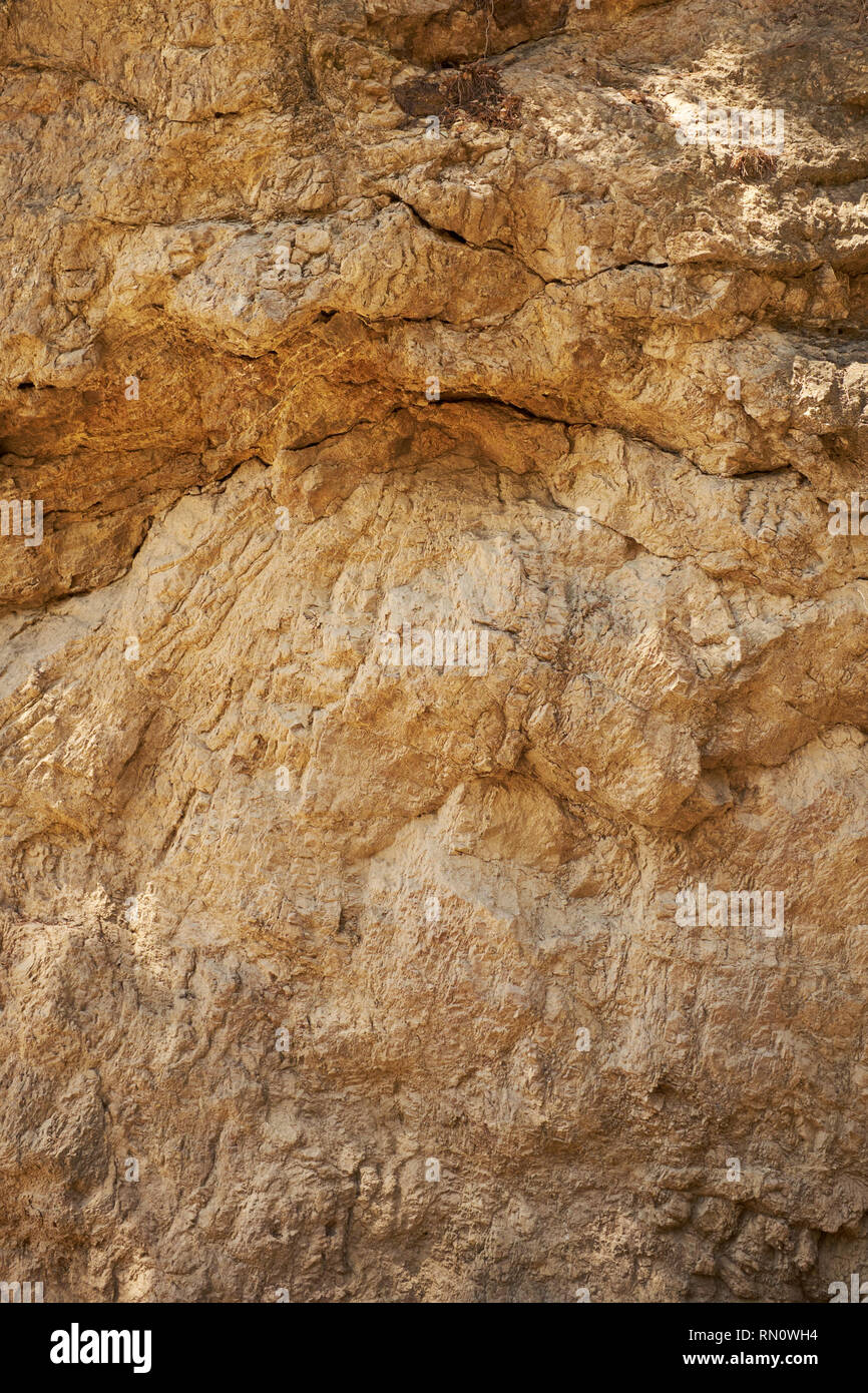 Seamless Cave Wall Texture
