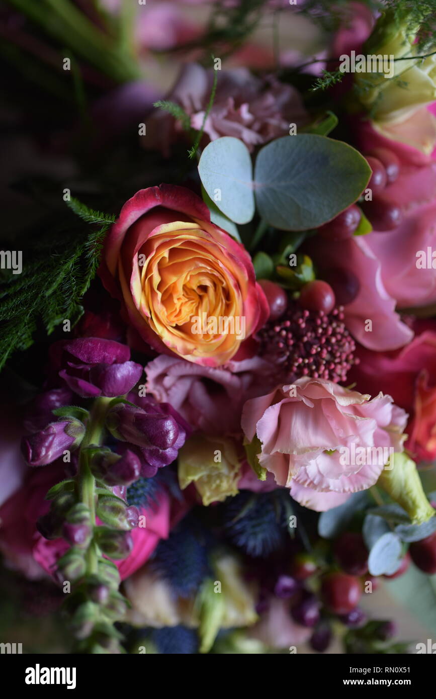 Beautiful vibrant cut flowers in a display in a strong low natural ...