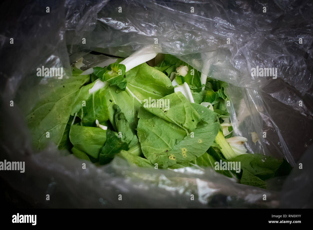 Smelly leaves hi-res stock photography and images - Alamy