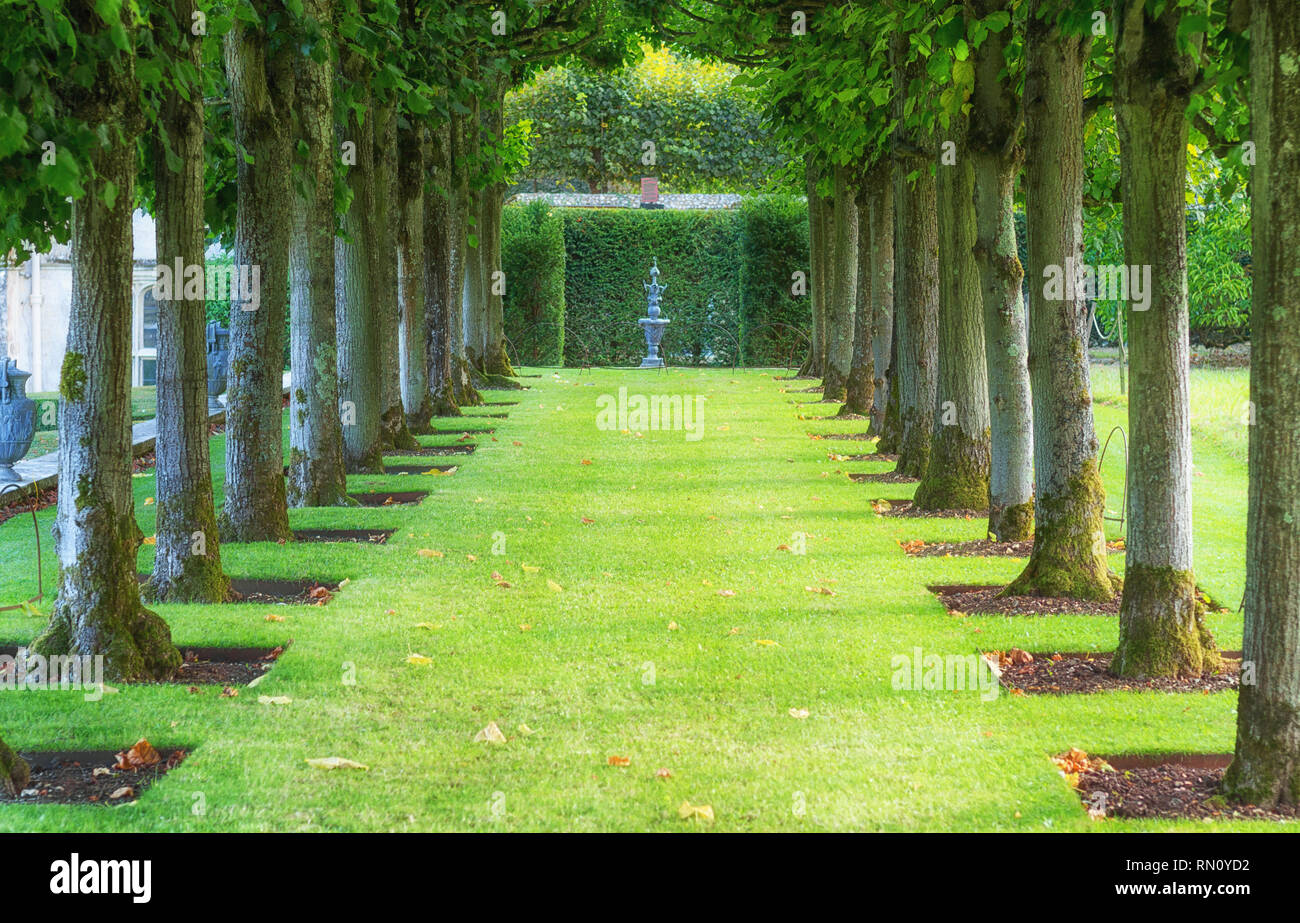 Beautiful english garden hi-res stock photography and images - Alamy