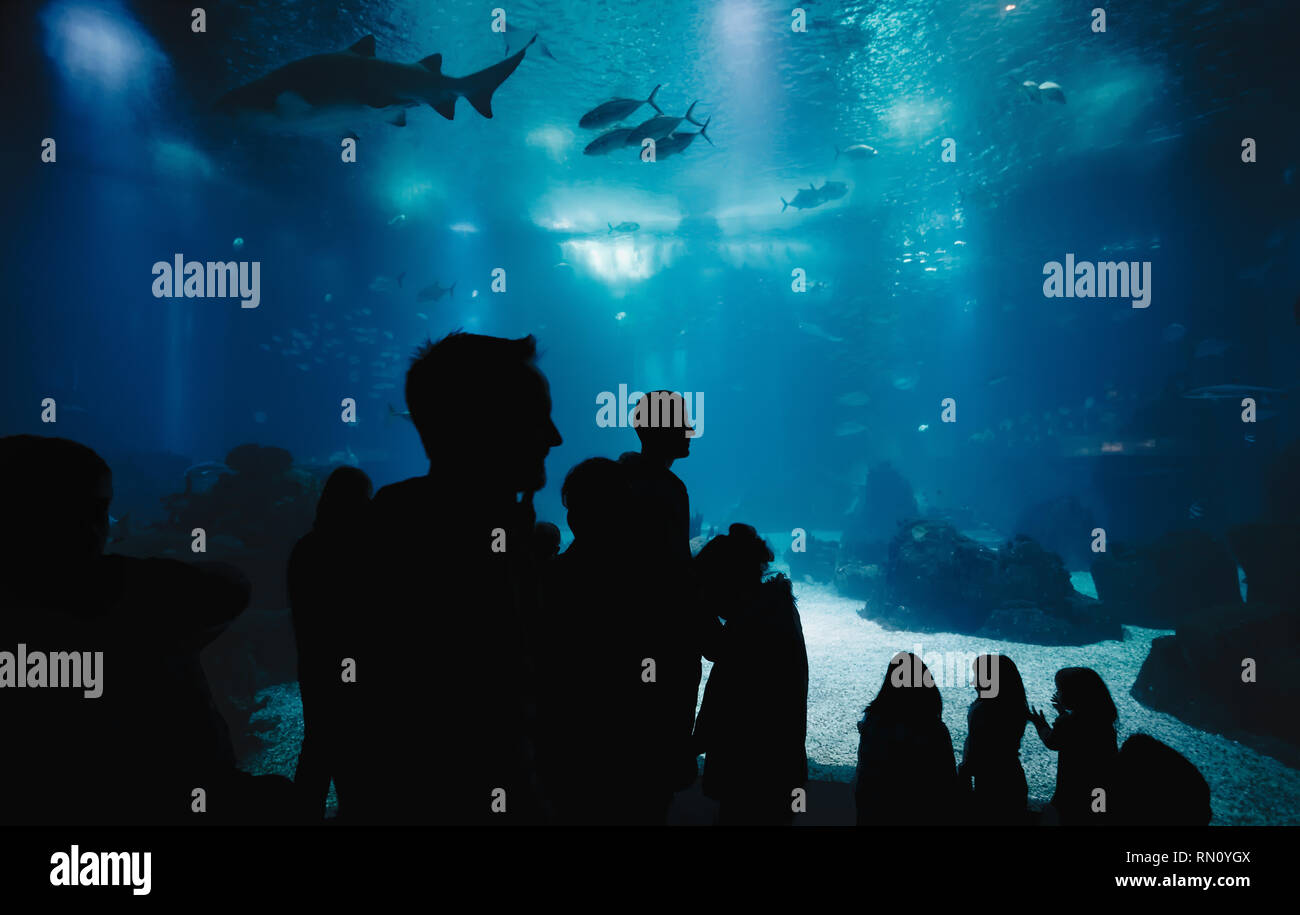 Oceanarium Underwater World. Group of People Watching Fish in a ...