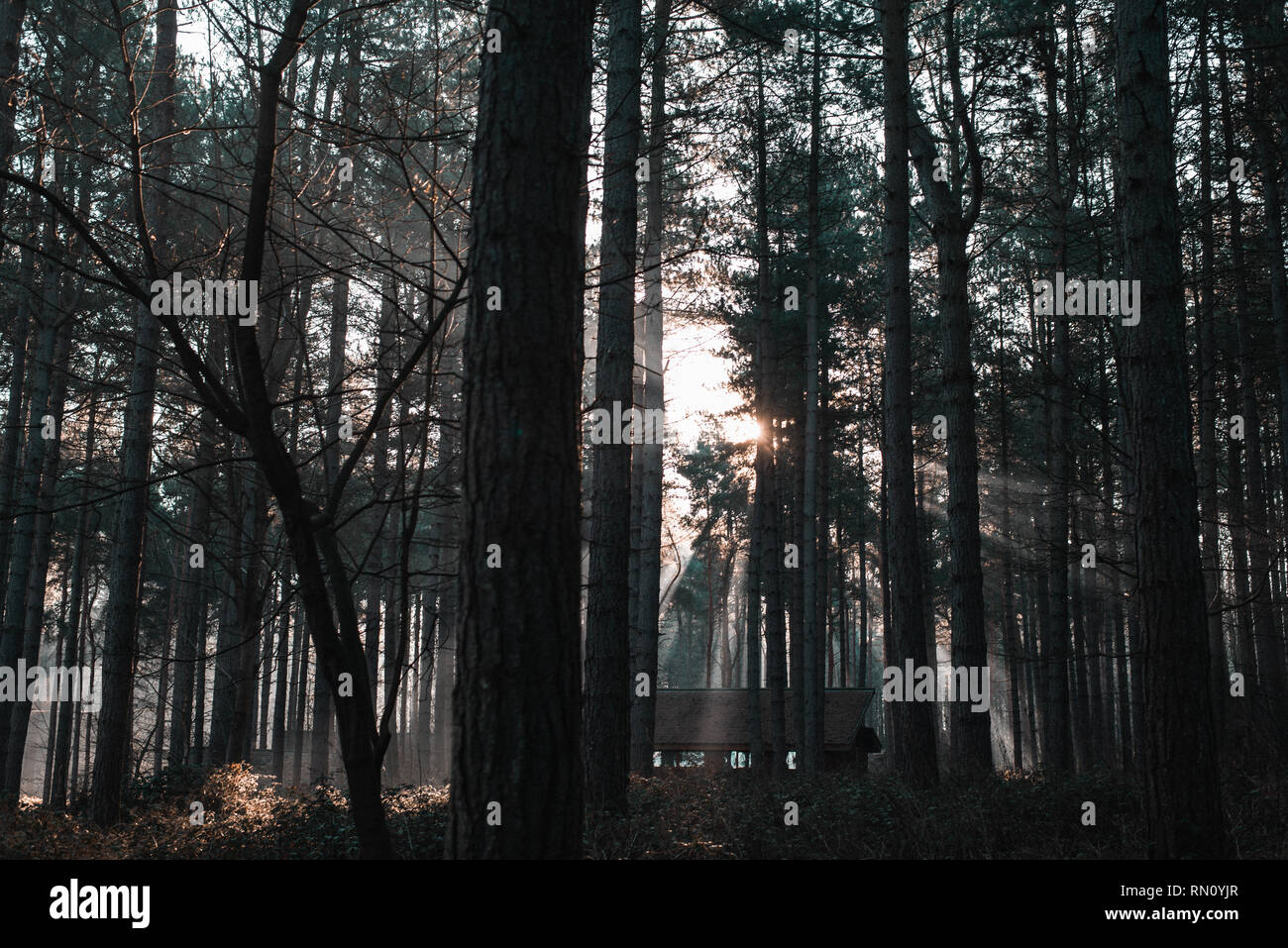 Light coming through beams wood hi-res stock photography and images - Alamy