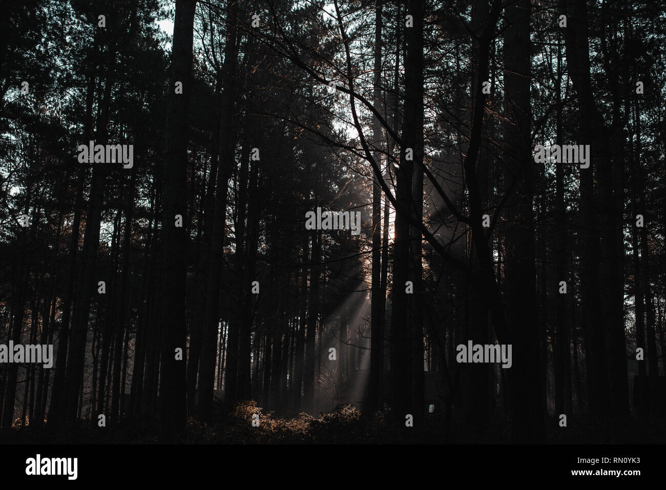 Light coming through beams wood hi-res stock photography and images - Alamy