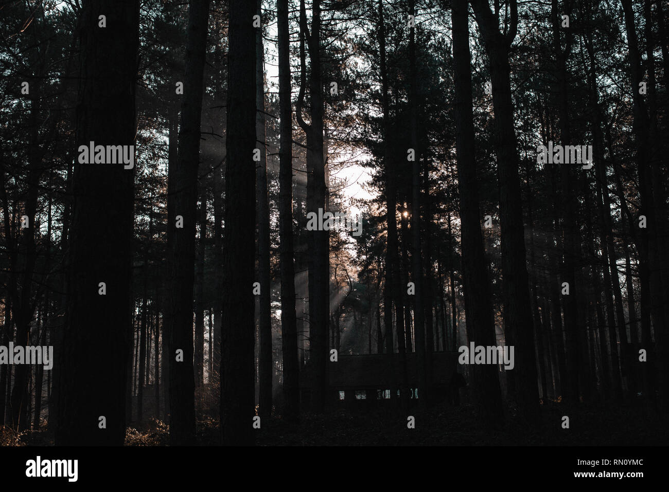 Light coming through beams wood hi-res stock photography and images - Alamy