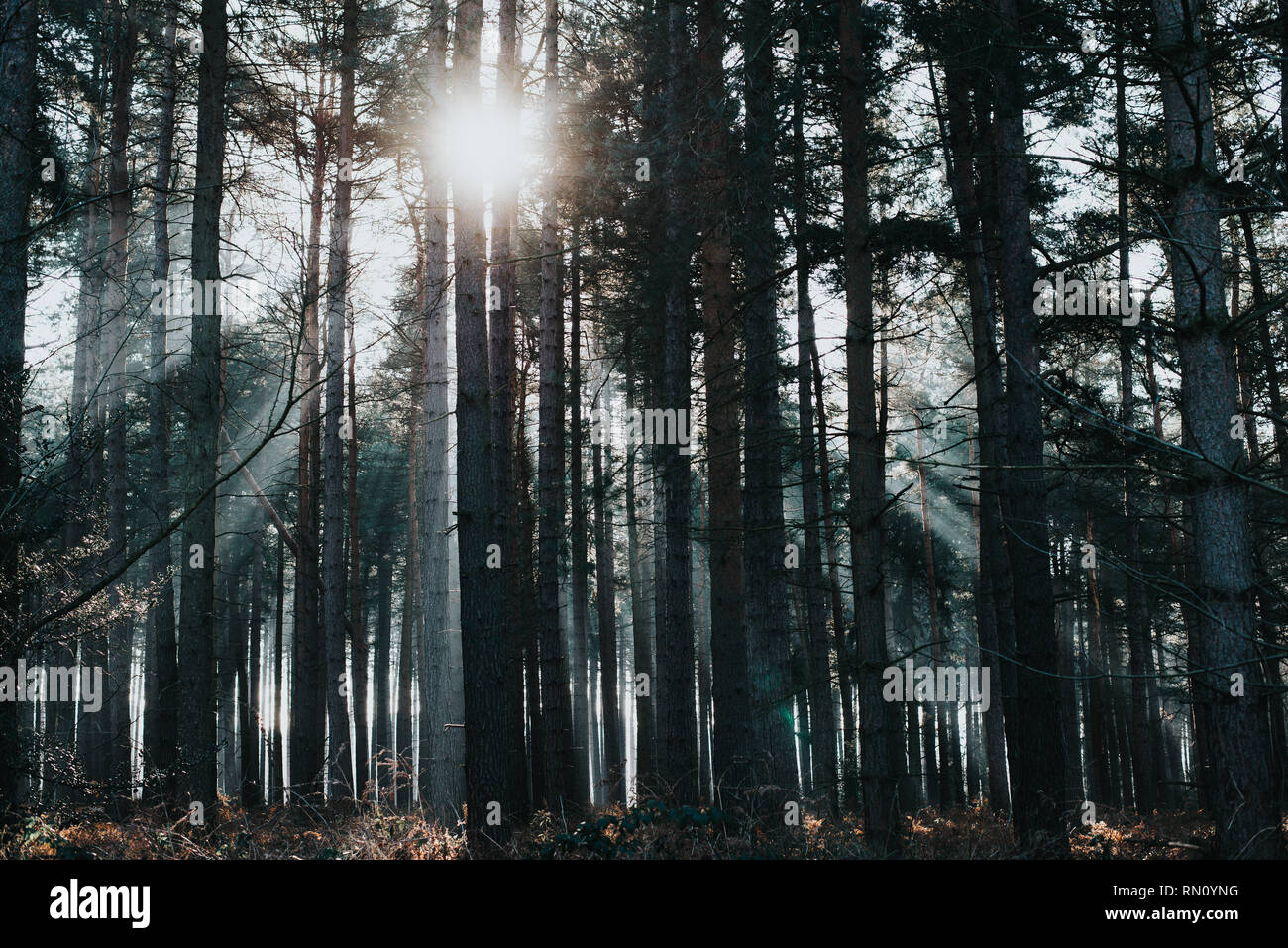 Light coming through beams wood hi-res stock photography and images - Alamy
