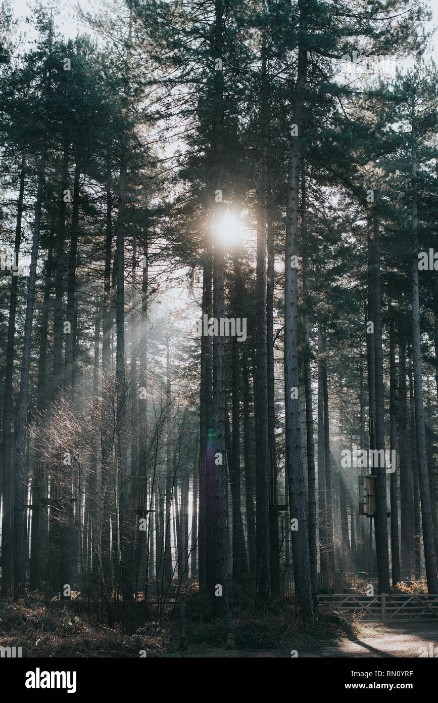 Light coming through beams wood hi-res stock photography and images - Alamy