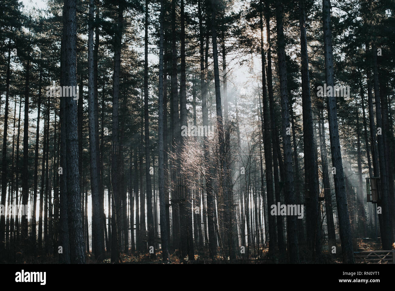 Light coming through beams wood hi-res stock photography and images - Alamy