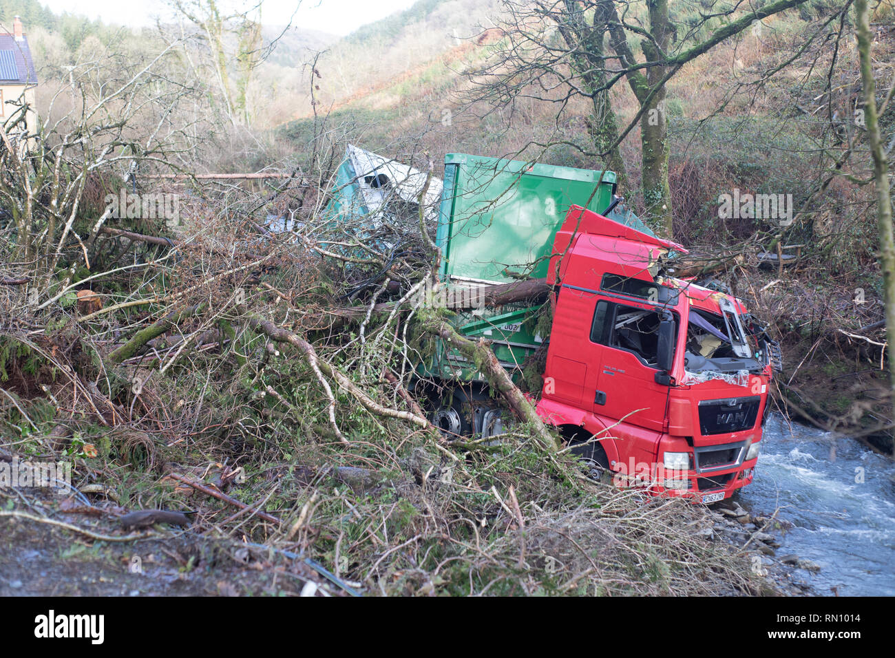 Falled trees hi-res stock photography and images - Alamy