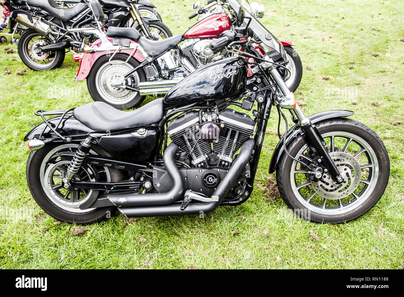 Harley Davidson on show Stock Photo - Alamy