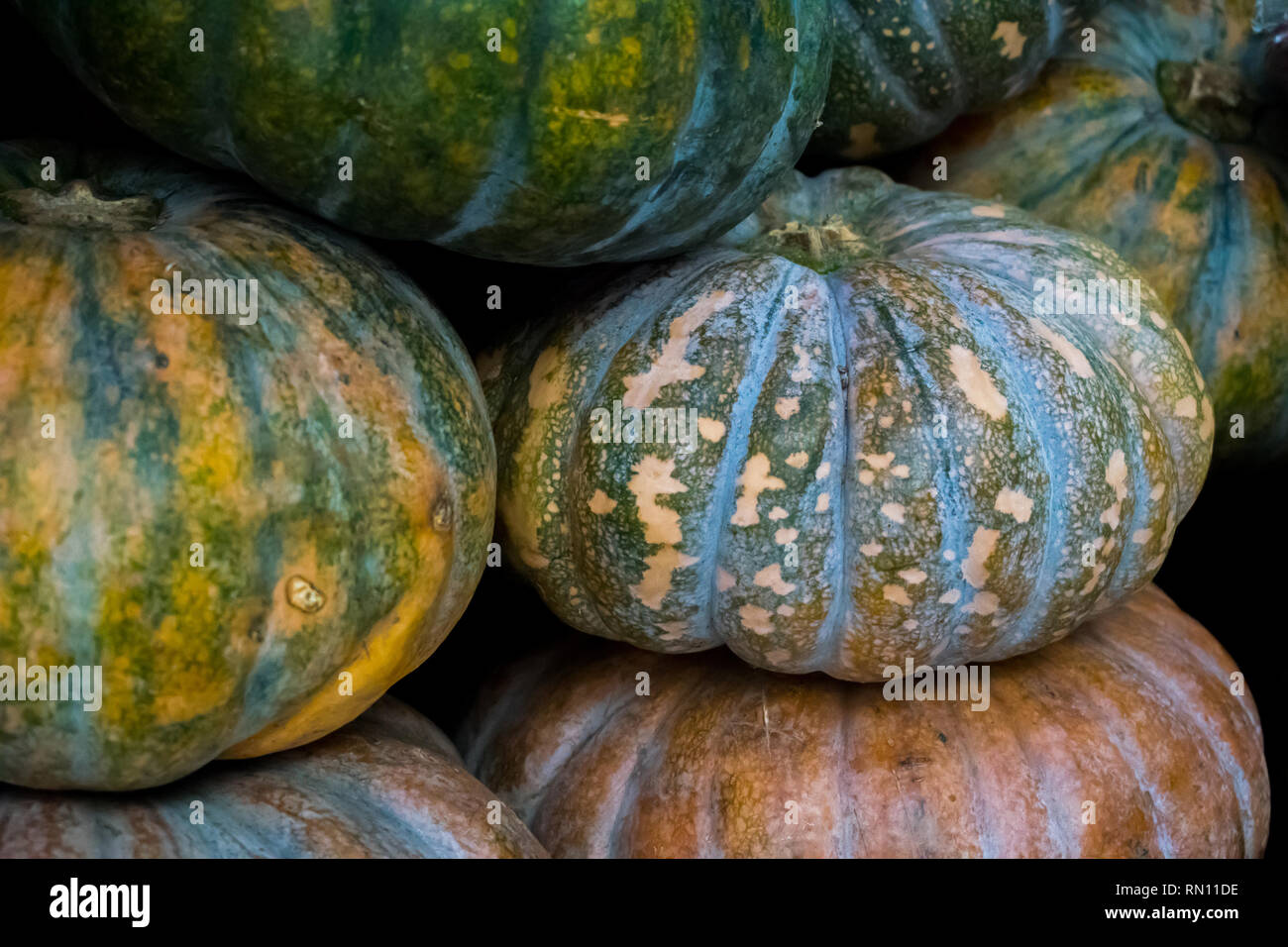 Round Tropical Pumpkin Stock Photo - Alamy