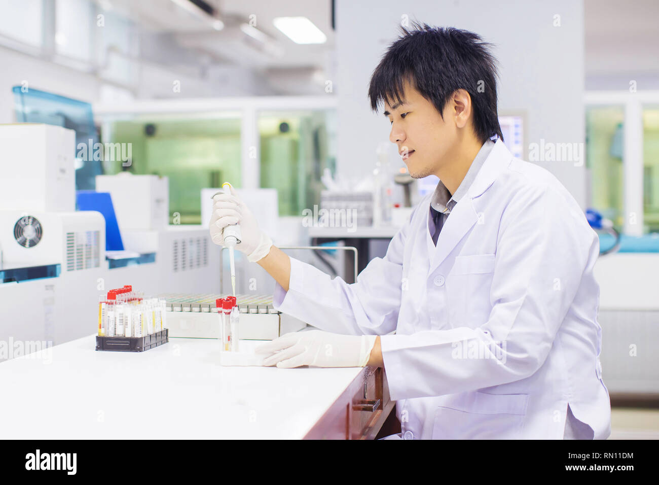 medical technologist working by pipetting with blood samples test tubes ...