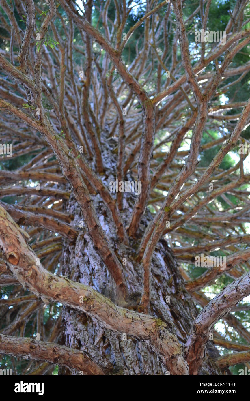 Difficult path hi-res stock photography and images - Alamy