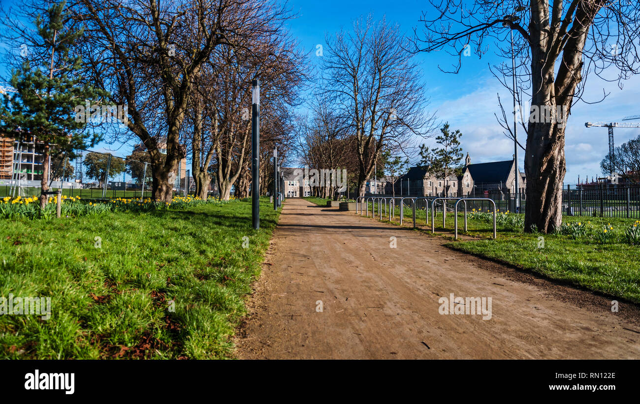 Playing gaa hi-res stock photography and images - Alamy