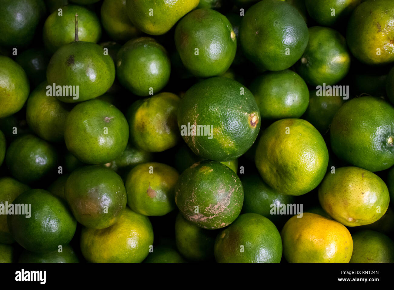 Fresh green citrus pilled together Stock Photo - Alamy