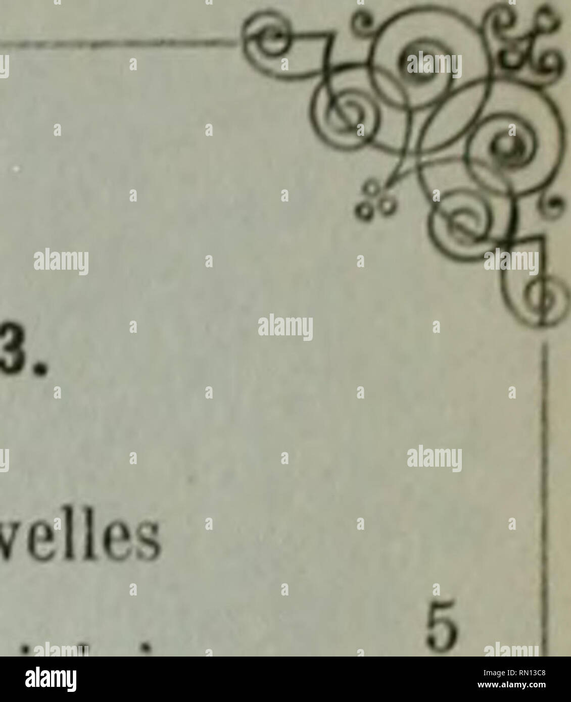 Microdon mutabilis hi-res stock photography and images - Alamy