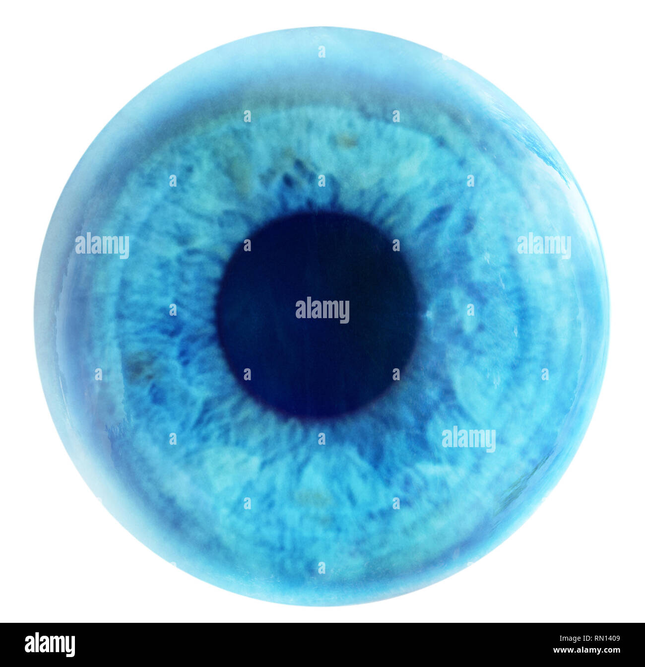 Blue iris eye Cut Out Stock Images & Pictures - Alamy