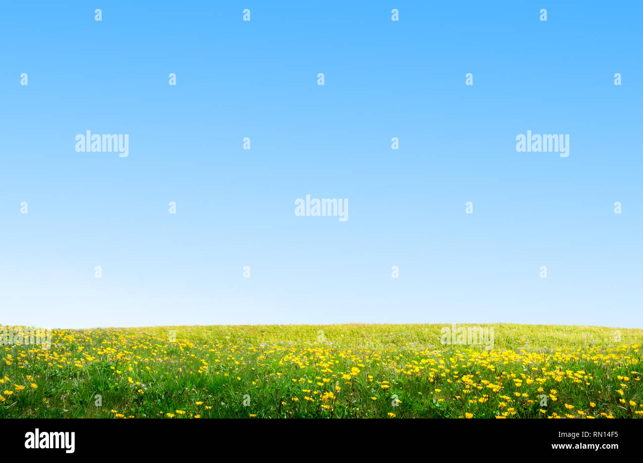 Grass idyllic hi-res stock photography and images - Alamy