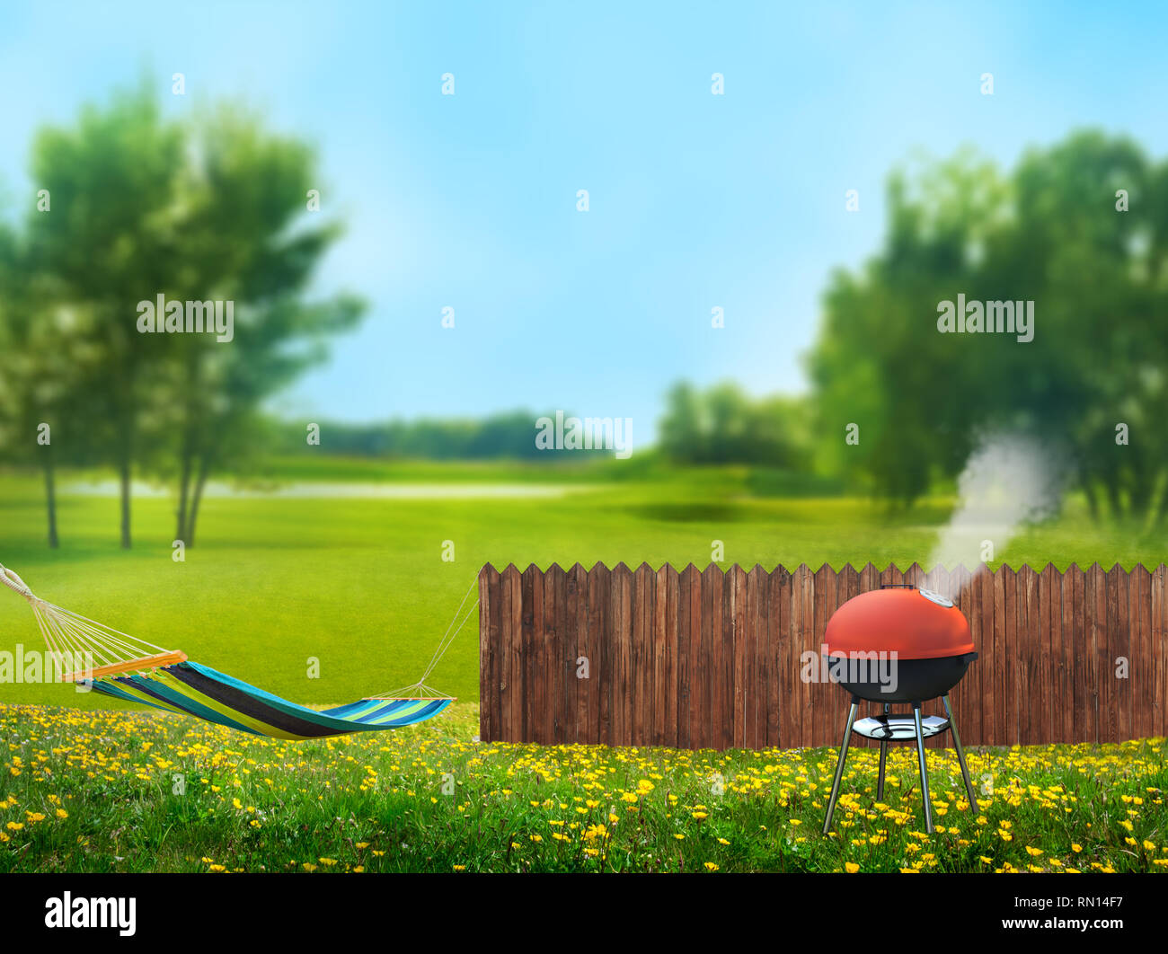 Backyard grill party hi-res stock photography and images - Alamy