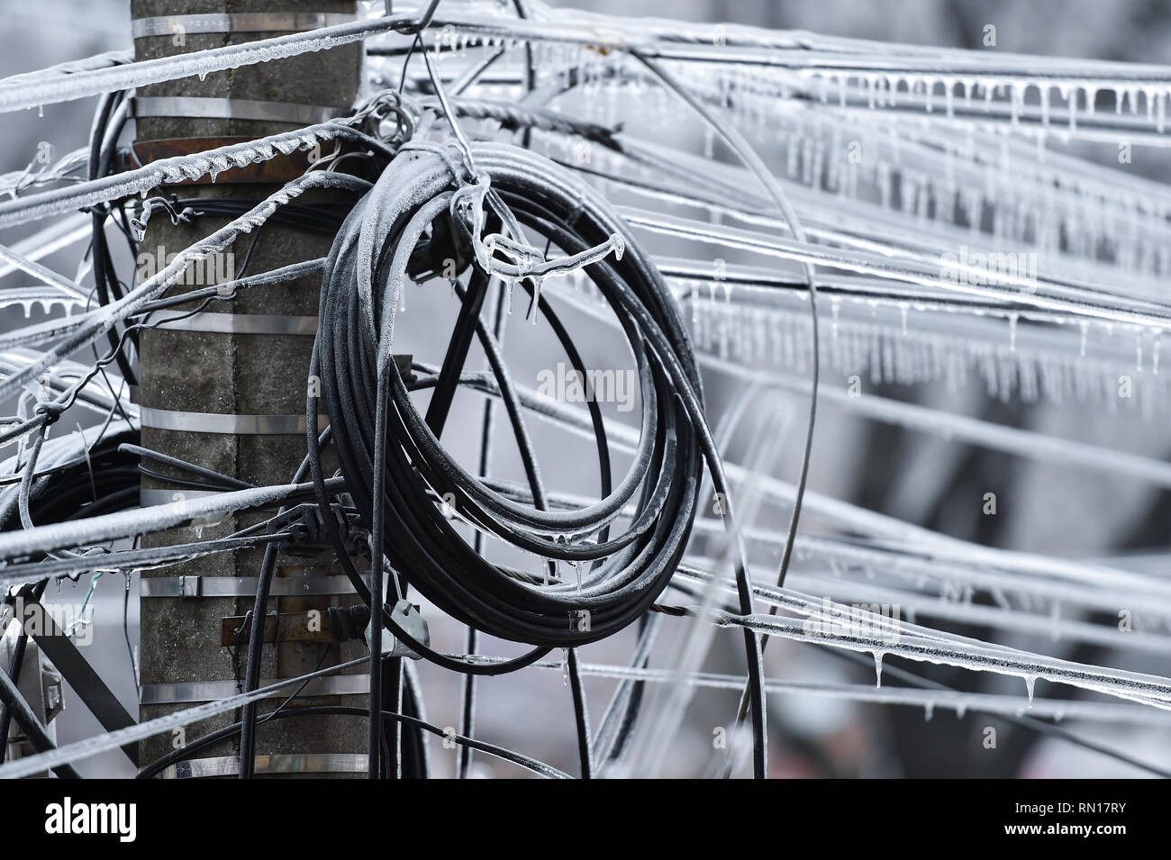 Electricity cables covered in ice after frozen rain phenomenon Stock ...