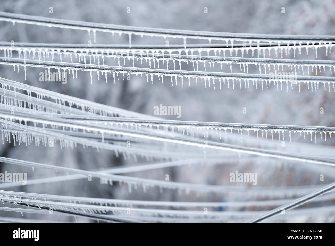 Electricity cables covered in ice after frozen rain phenomenon Stock ...