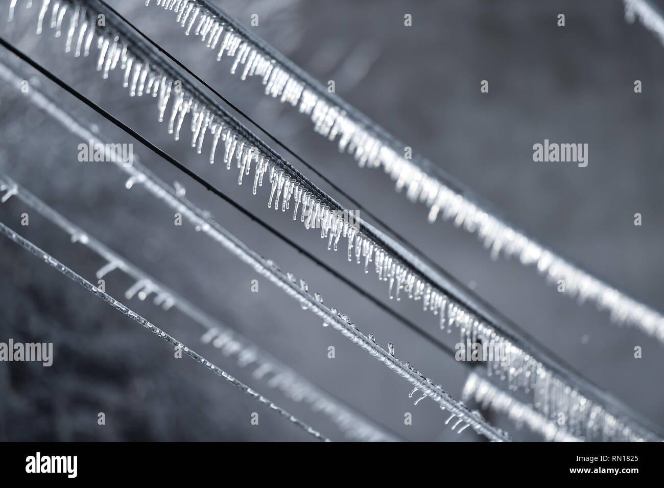 Electricity cables covered in ice after frozen rain phenomenon Stock ...