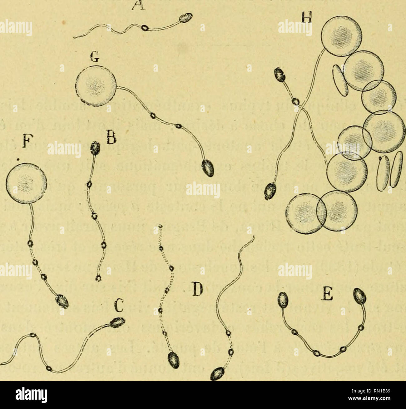 Examen du doigt hi-res stock photography and images - Alamy