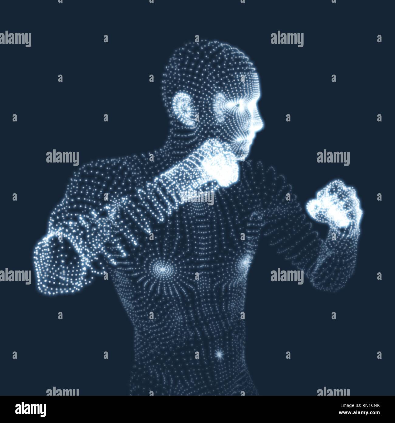 Boxer. Fighting Man. 3D Model of Man. Human Body Model. Body Scanning ...