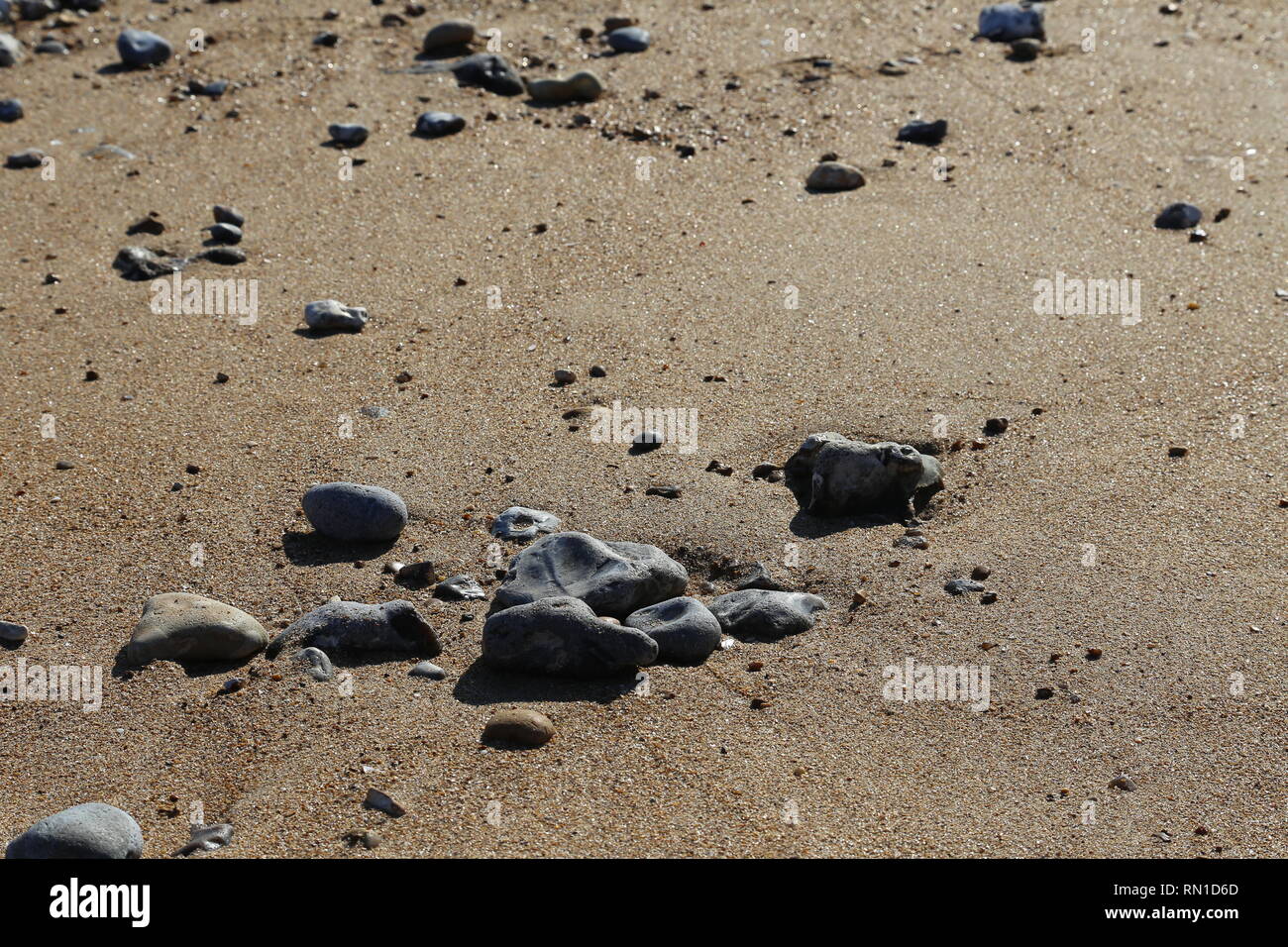 Pebbles in sand on beach Stock Photo - Alamy