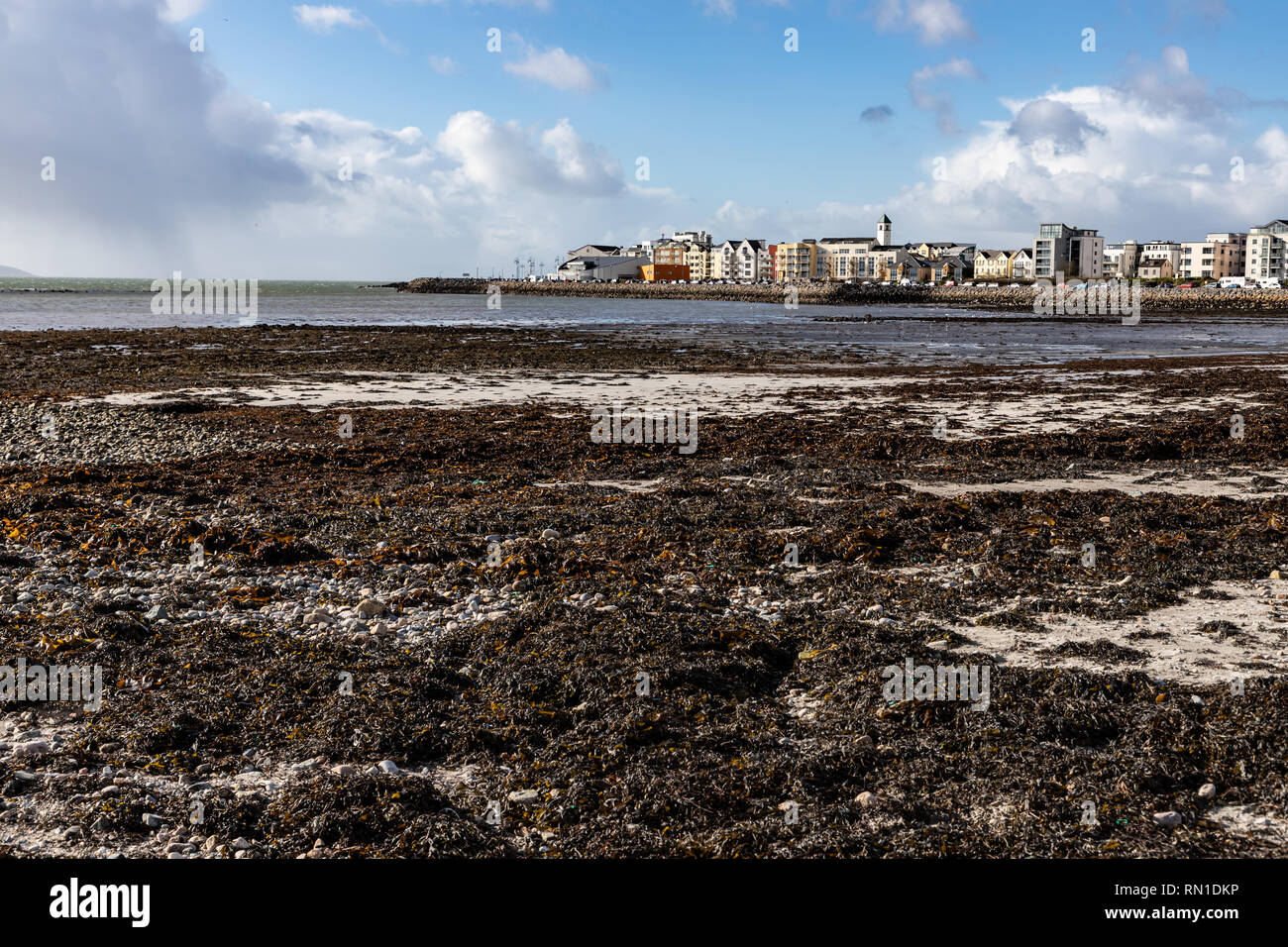 Salthill beach with houses and buildings, Galway, Ireland Stock Photo ...