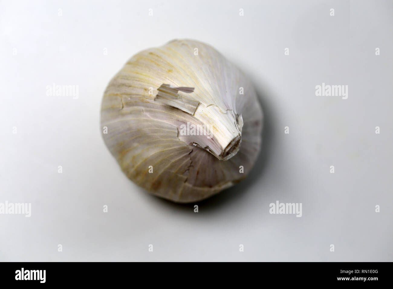 Whole unpeeled garlic on a white table. Closeup photo taken with a ...