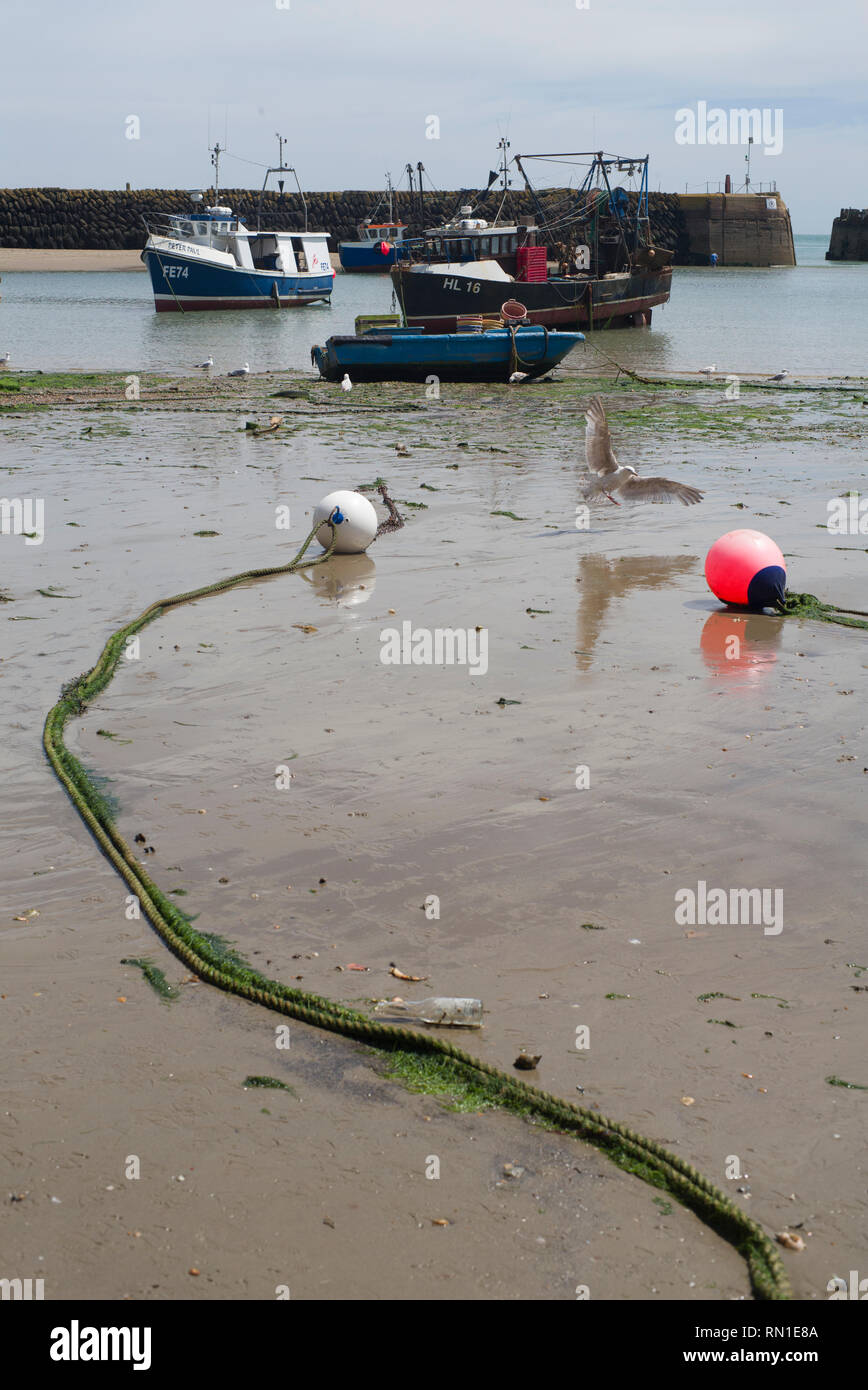 Folkestone marina hi-res stock photography and images - Alamy