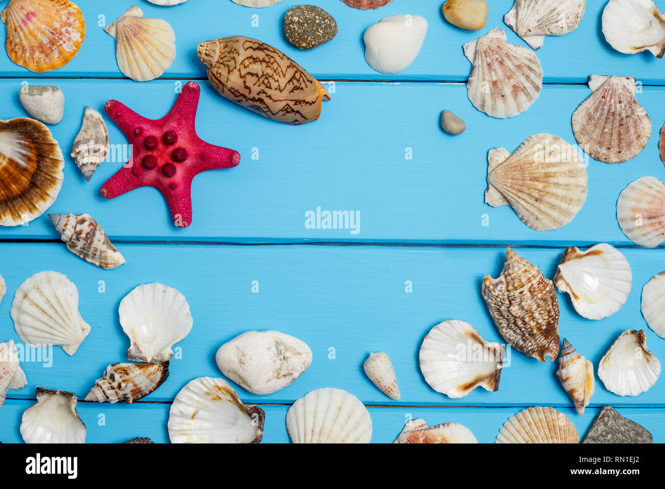 An overhead photo of a sea star, sea shells, and pebbles forming a ...