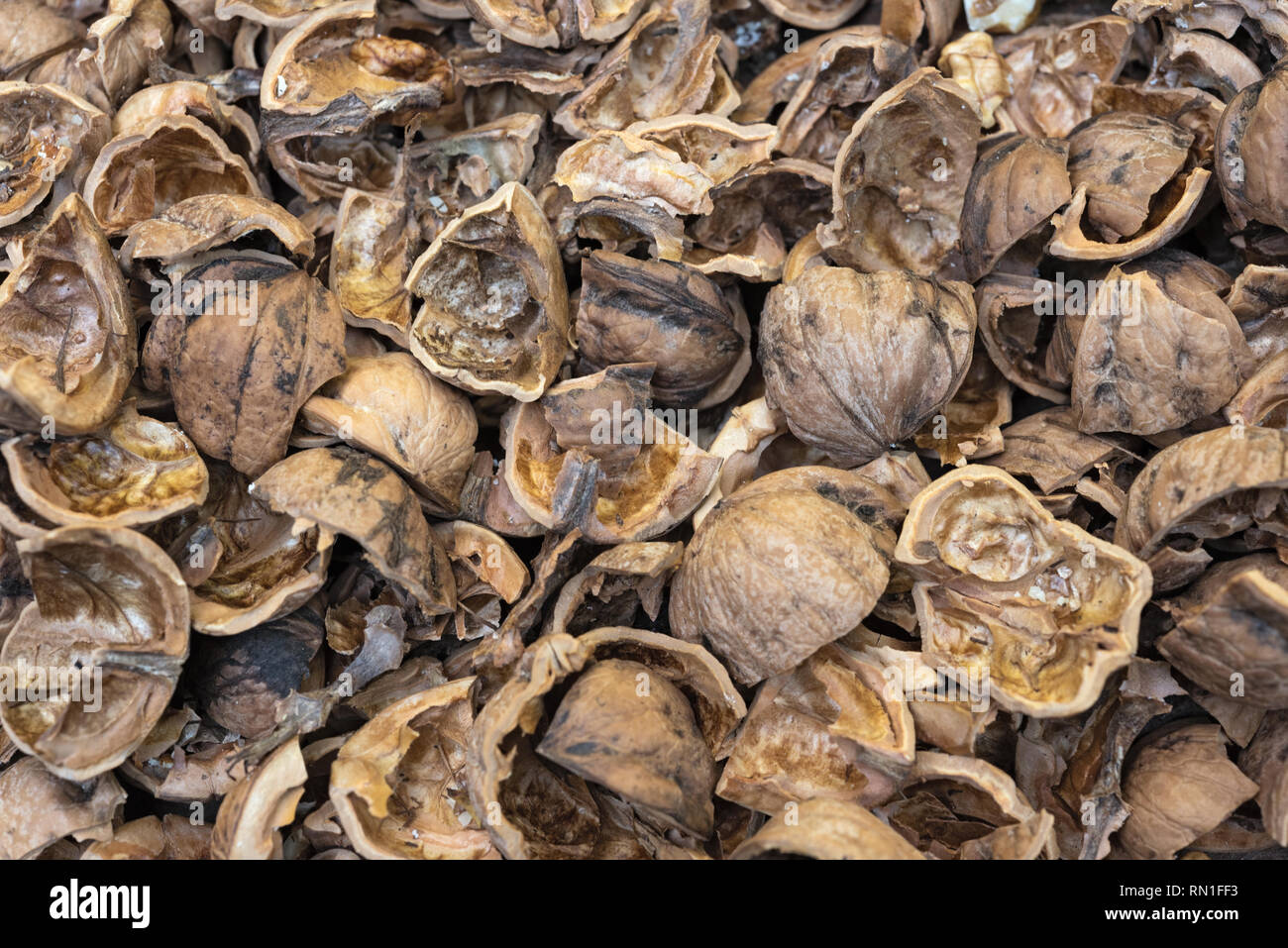 close up view of shattered walnut shells. Textured background of ...