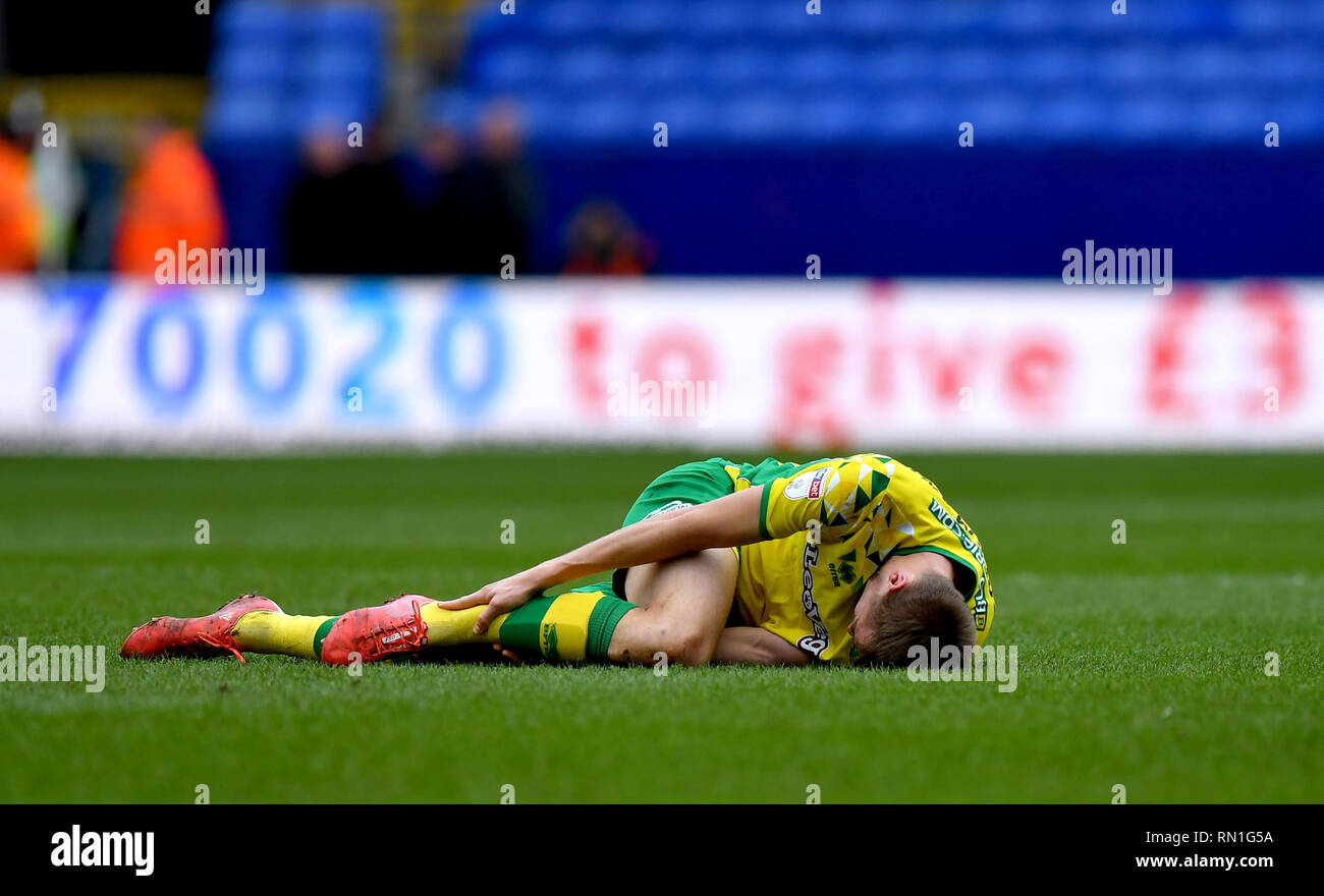Norwich City's Marco Stiepermann goes down injured on the pitch during ...