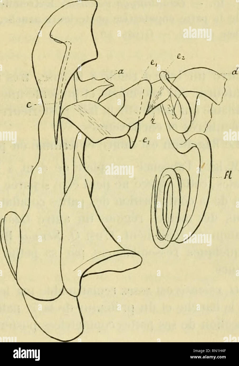 . Annales de la Société entomologique de France. Insects; Entomology ...