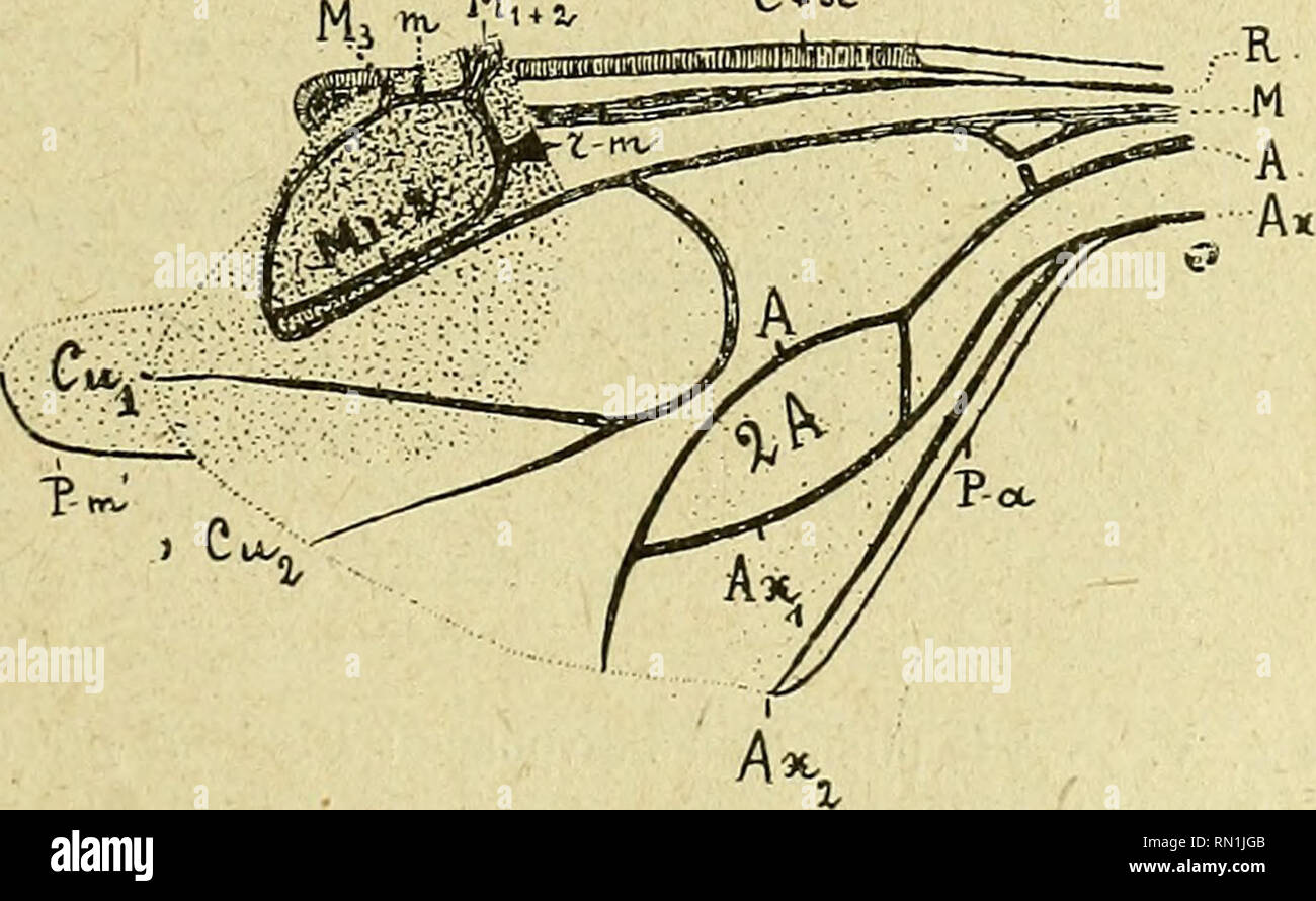 Príncipe jai hi-res stock photography and images - Alamy