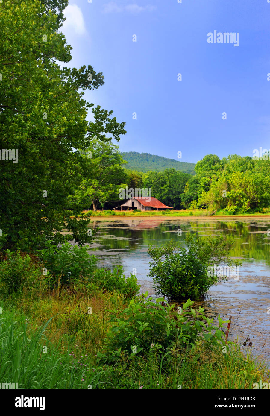 Tranquil waters of a large pond reflects the rustic beauty of this ...