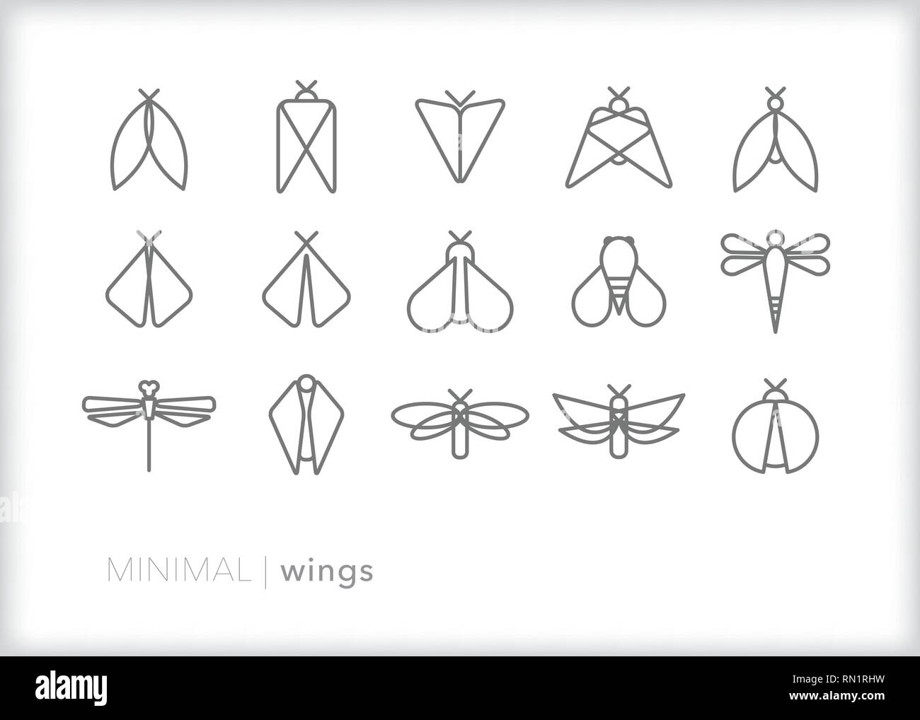 Set of 15 gray winged insect line icons showing various bugs such as a ...