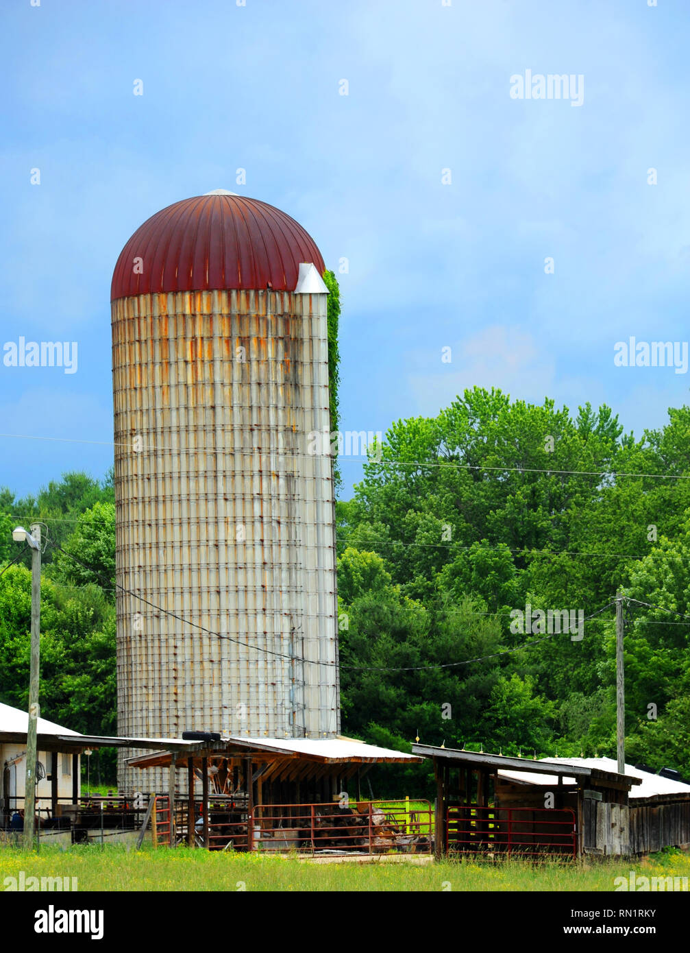 Rustic silo stands in farm yard in Northern Arkansas. Silo has rusted ...