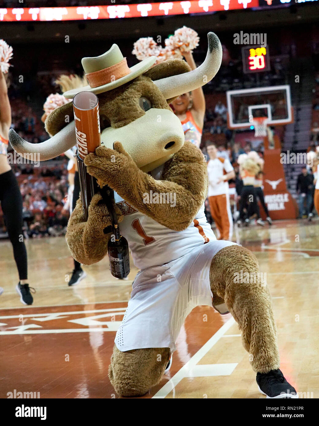 Feb 16, 2019. Mascot Bevo of the Texas Longhorns in action vs the ...