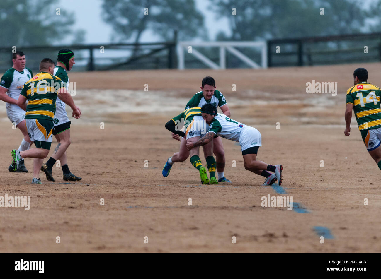 North Carolina, USA. 16th Feb, 2019. Feb. 16, 2019 - N.C., USA ...