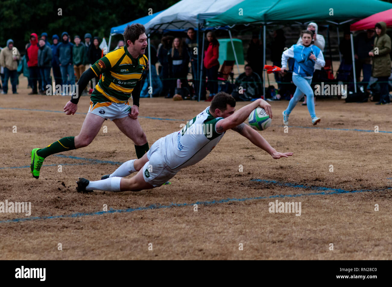 North Carolina, USA. 16th Feb, 2019. Feb. 16, 2019 - N.C., USA ...