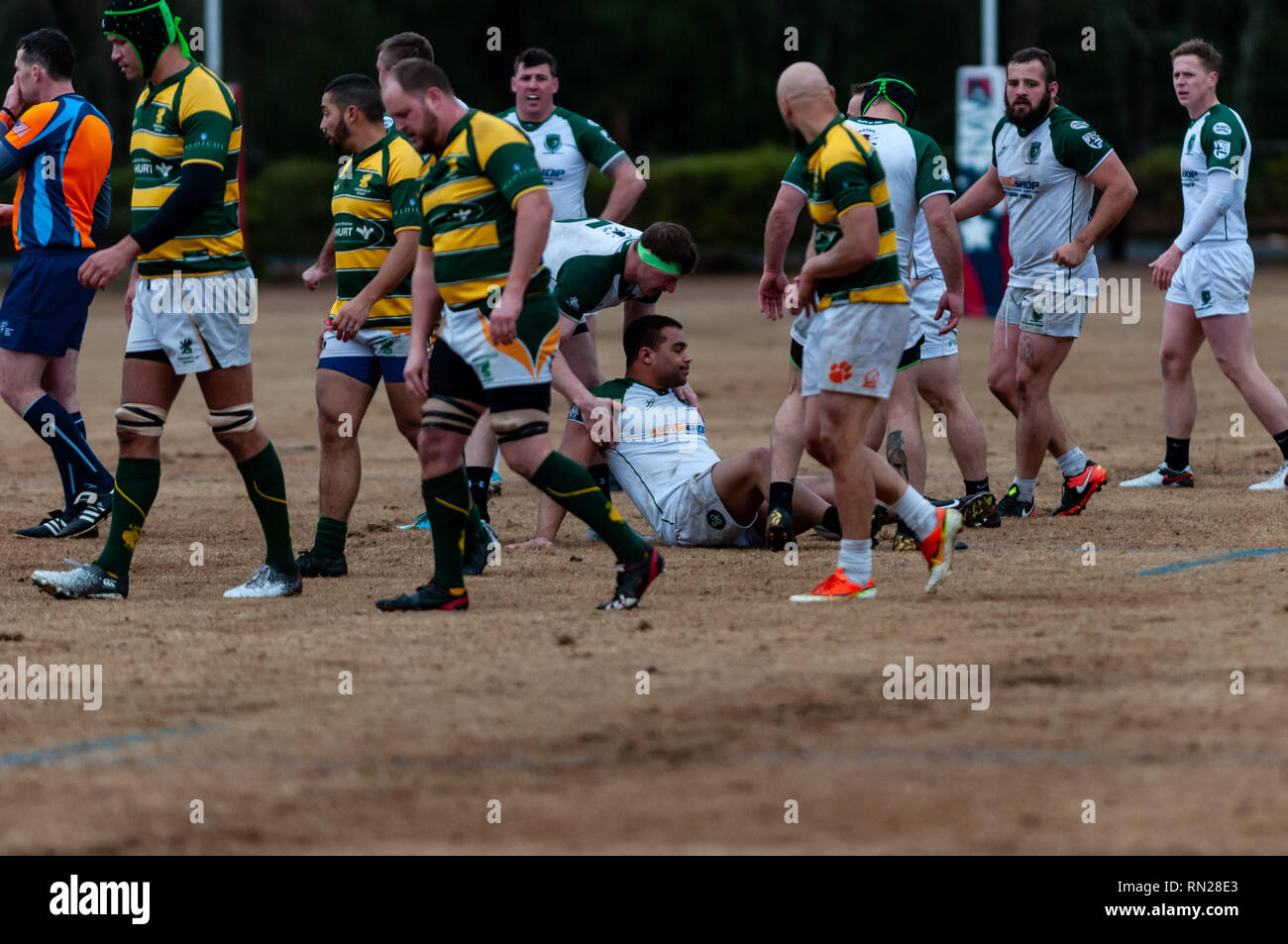 North Carolina, USA. 16th Feb, 2019. Feb. 16, 2019 - N.C., USA ...