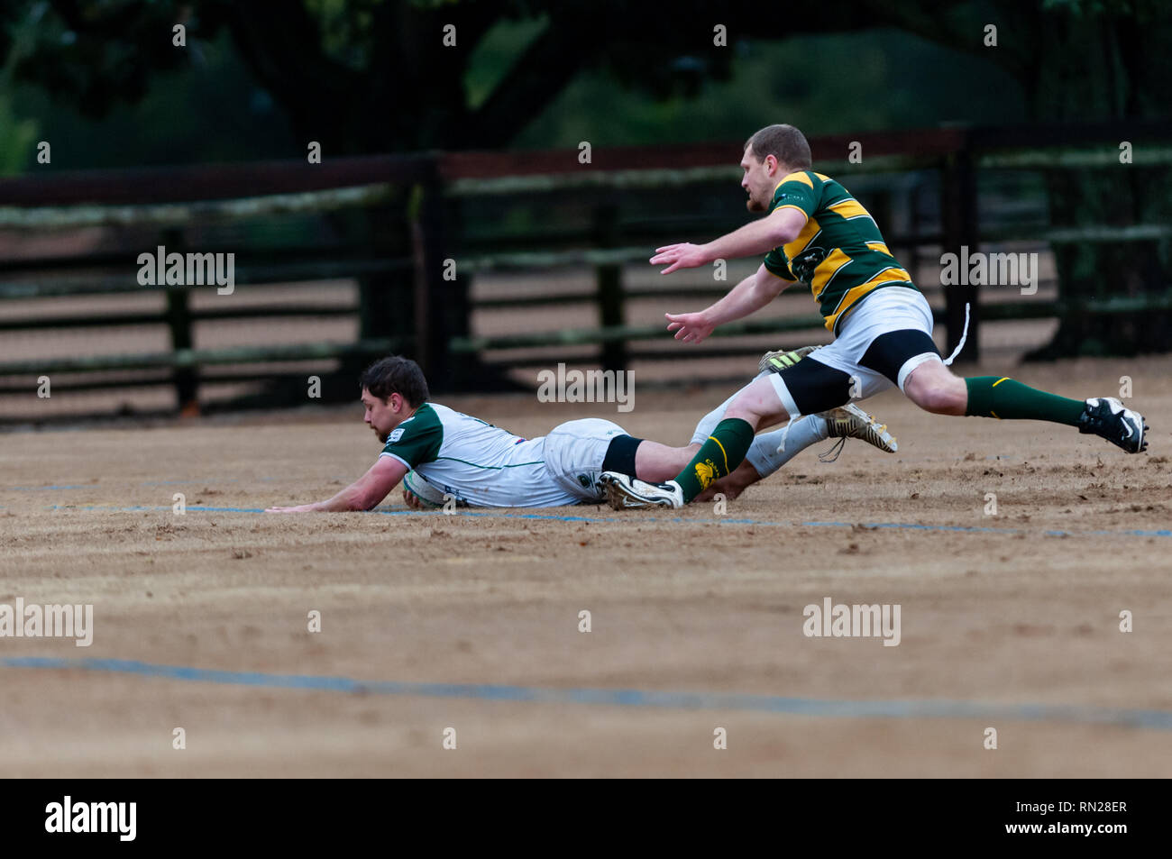 North Carolina, USA. 16th Feb, 2019. Feb. 16, 2019 - N.C., USA ...