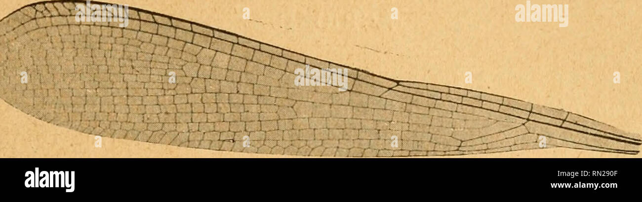 Bata de s hi-res stock photography and images - Alamy