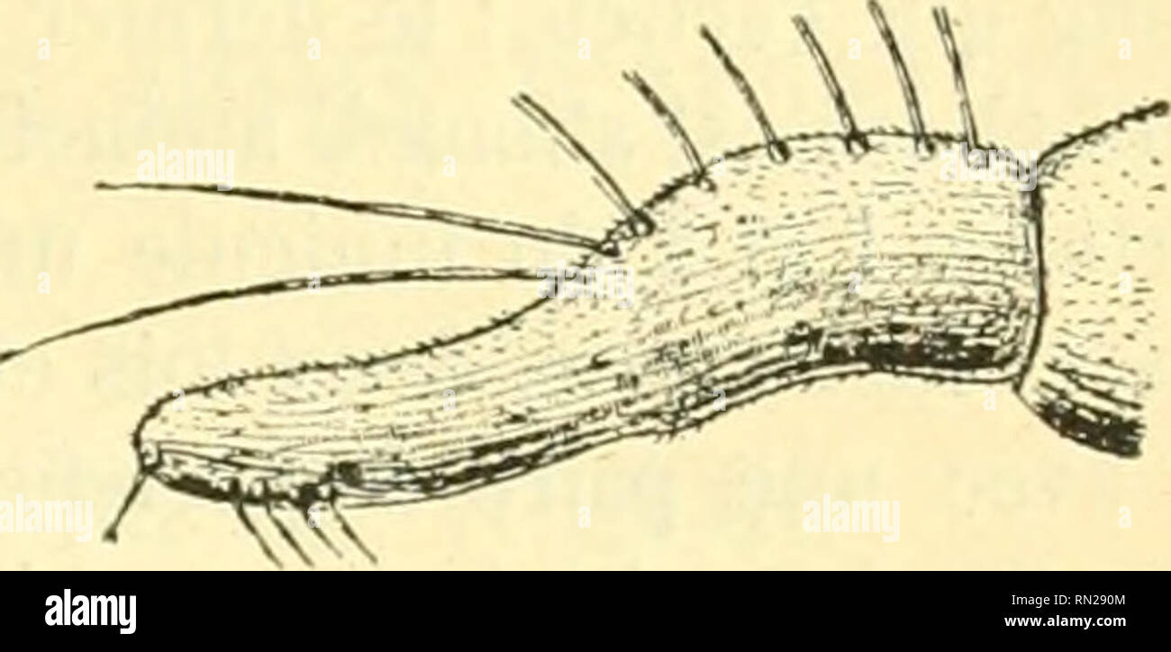Ligne terminale hi-res stock photography and images - Alamy