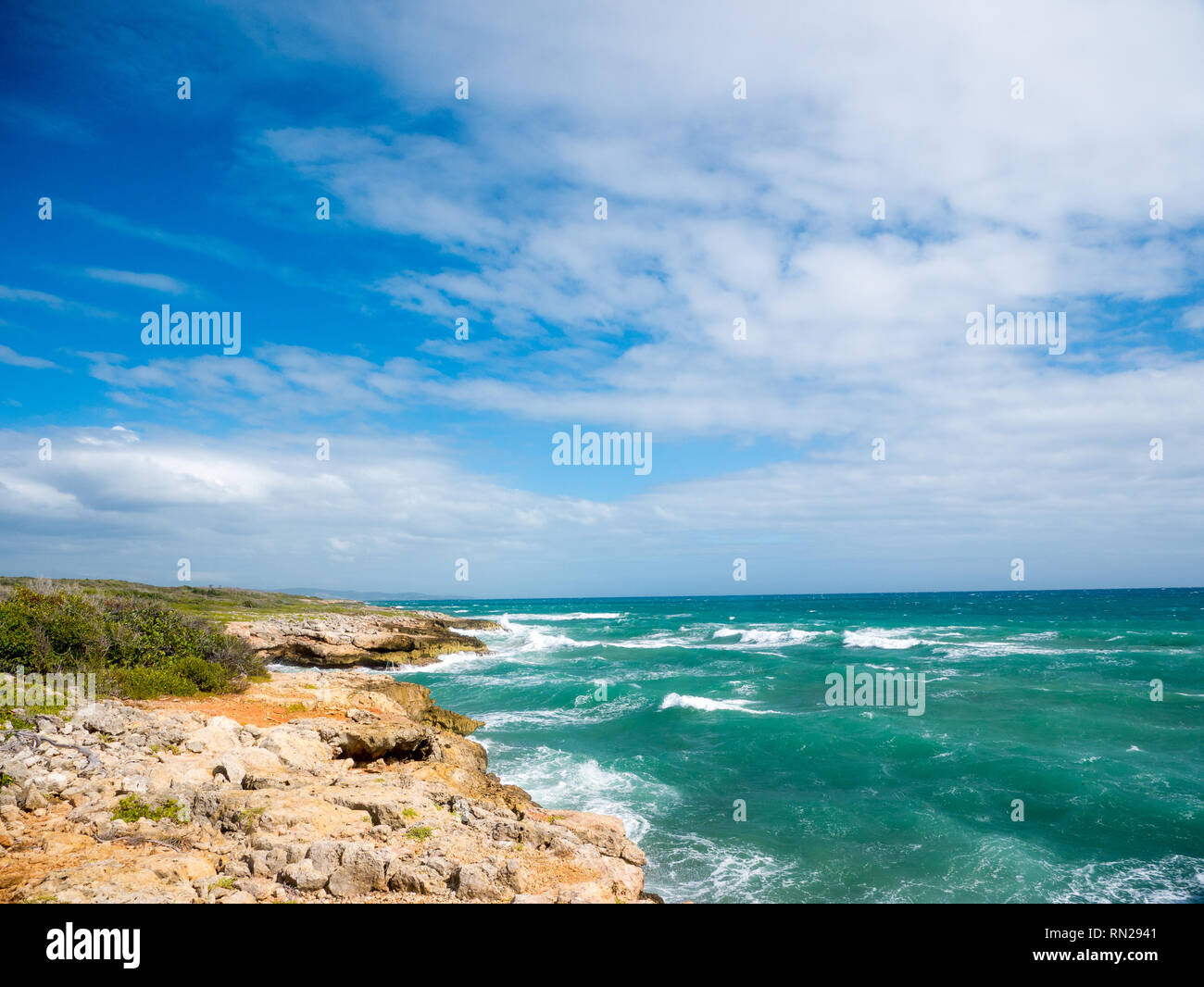 The Caribbean coastline at Guanica Dry Forest Reserve - Puerto Rico ...