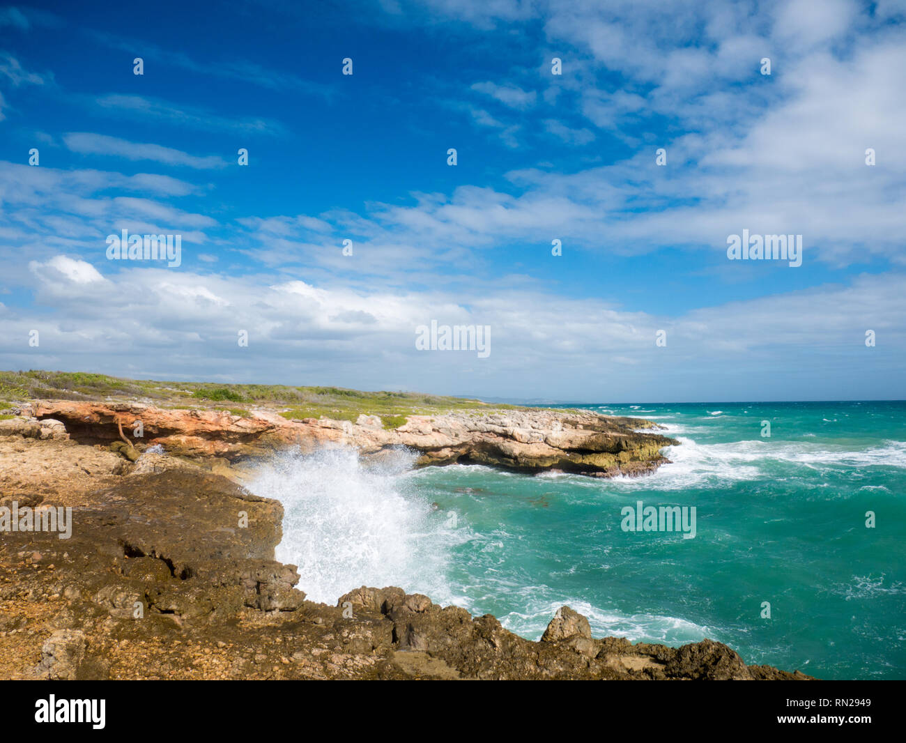 The Caribbean coastline at Guanica Dry Forest Reserve - Puerto Rico ...