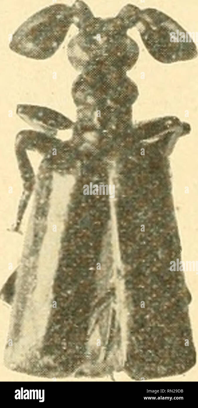 Uni kiel hi-res stock photography and images - Alamy