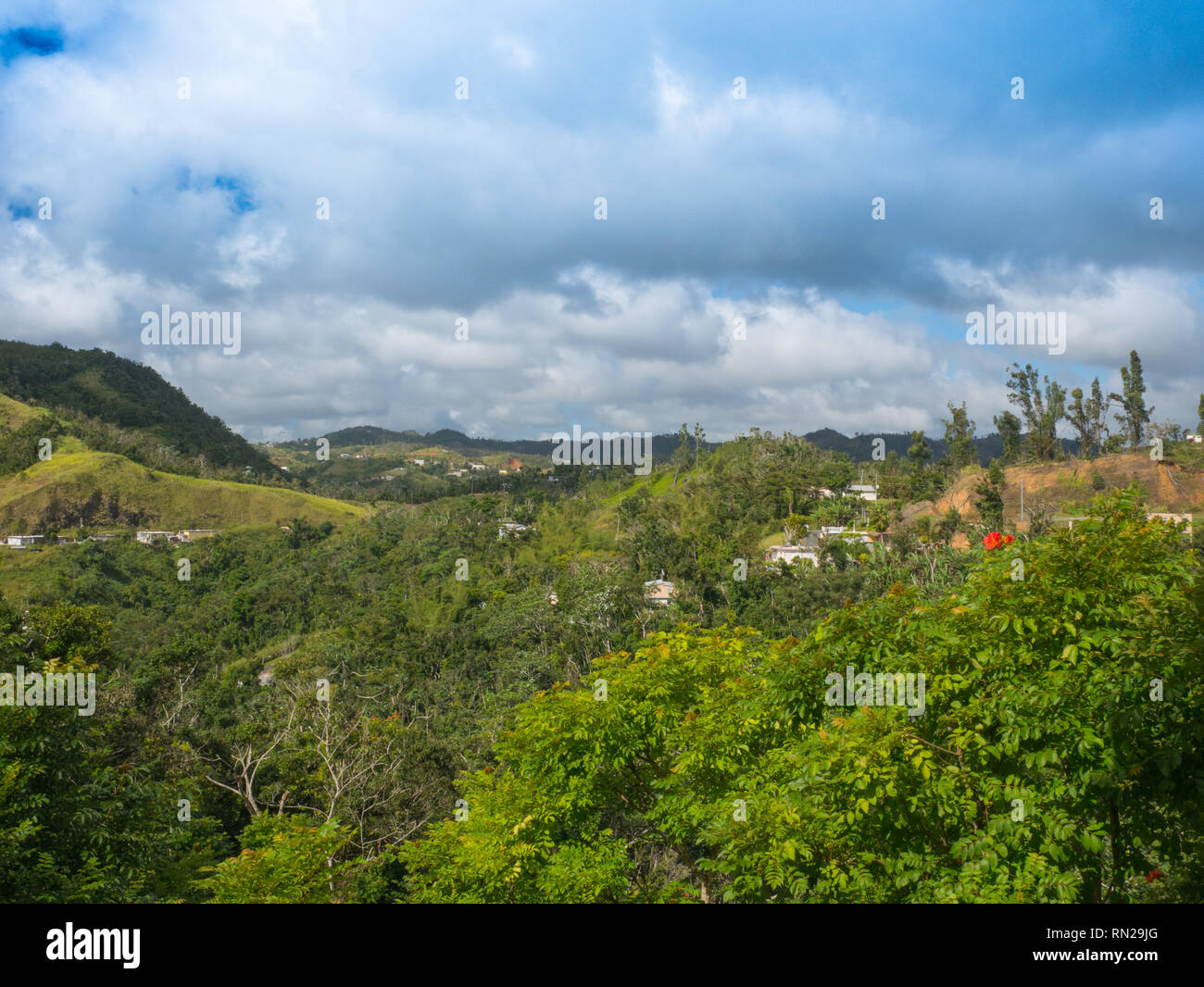 View from Ruta panoramica (Cordillera central) road in Puerto Rico. USA ...